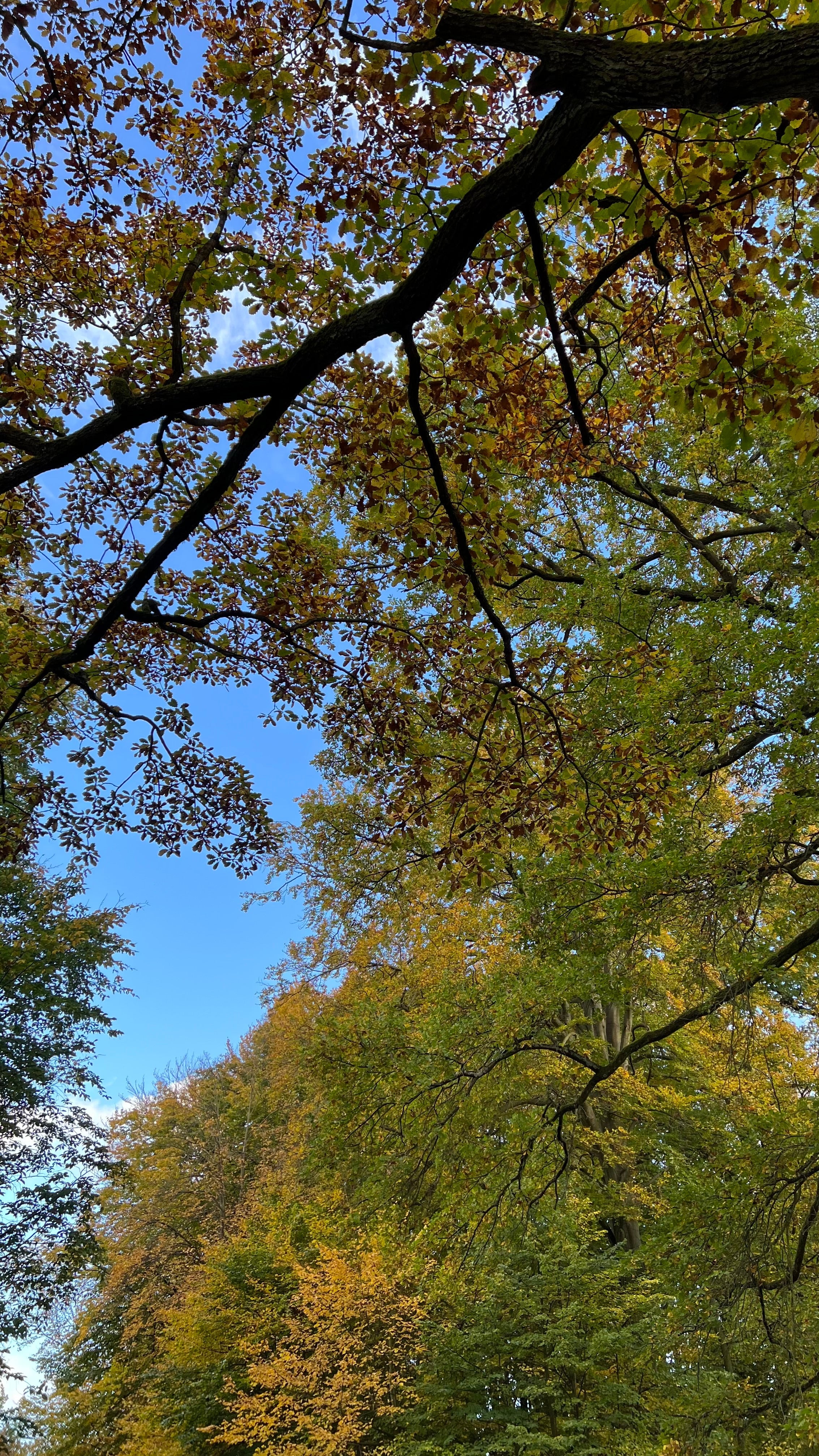 Back To Us Vintage – Backtousvintage